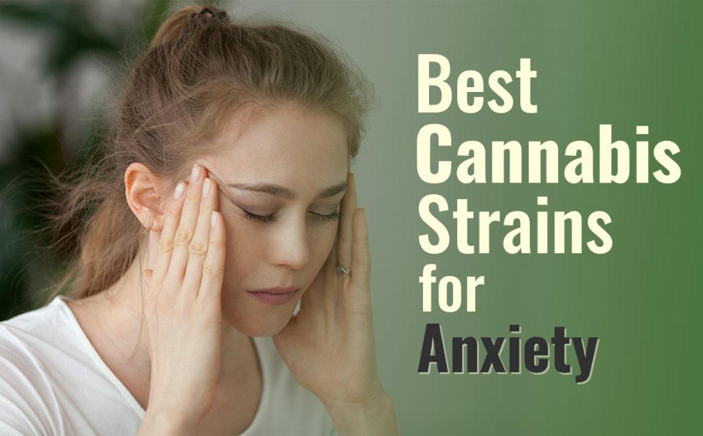 Best Cannabis Strains for Anxiety in 2025? - Greenstone