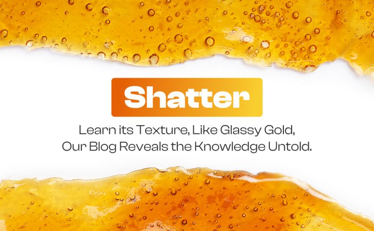Cannabis Shatter Guide You Will Ever Need