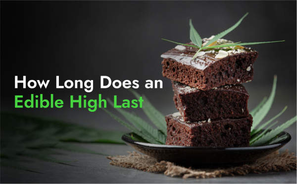 How Long Does an Edible High Last- Greenstone