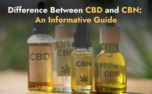 Difference Between CBD and CBN : An Informative Guide