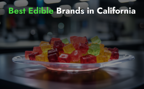 Best Edible Brands in California - Must-Try Cannabis Edibles