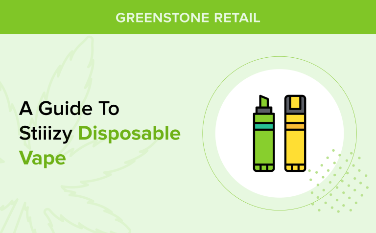 A Guide to Stiiizy Disposable Vape