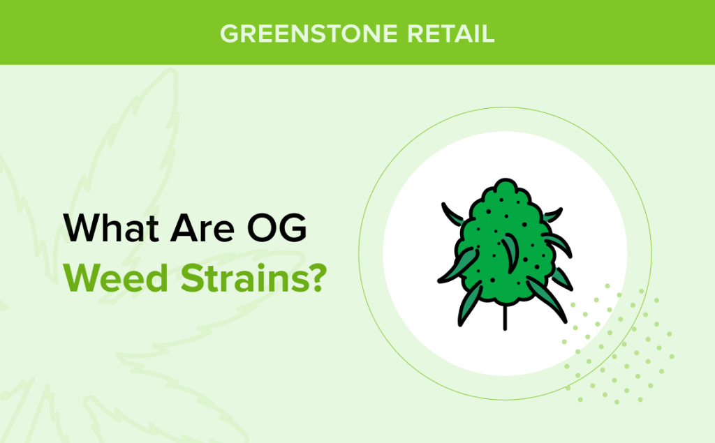 What Are OG Weed Strains?