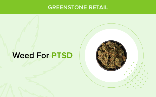 Weed for PTSD: How Cannabis May Help with Relief and Recovery