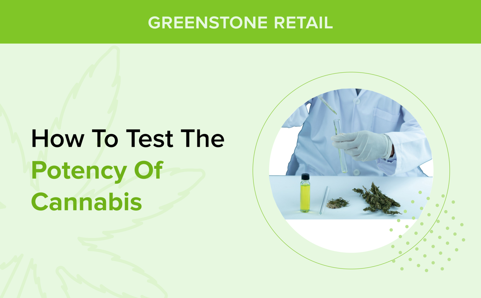 How to Test the Potency of Cannabis